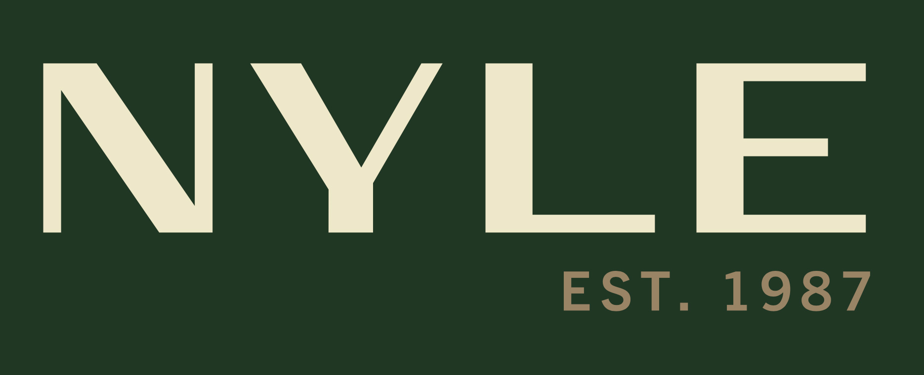 NYLE Logo | Marketing Portfolio by Luminus Agency